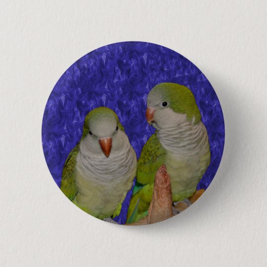 Baby Quaker Parrot Pair Animal Button | Zazzle.com