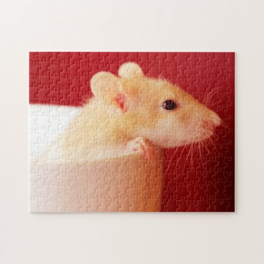 Baby Rat Jigsaw Puzzle | Zazzle.com