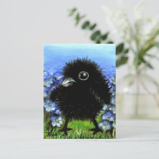 Baby raven postcard | Zazzle