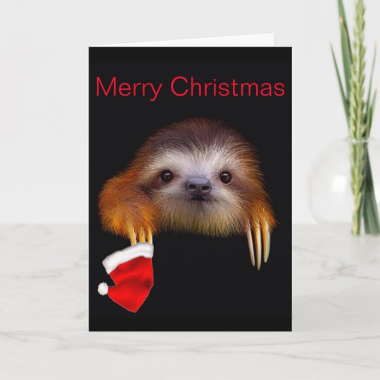 Baby Sloth Christmas Card | Zazzle.com
