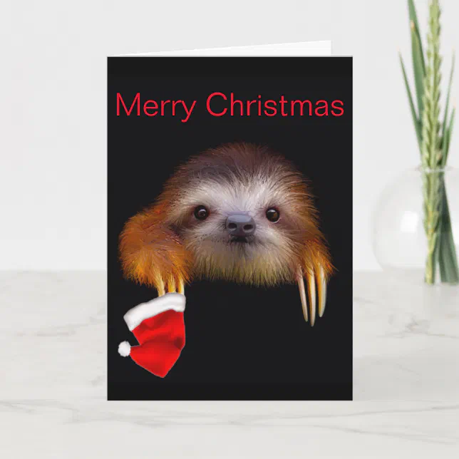 Baby Sloth Christmas Card | Zazzle