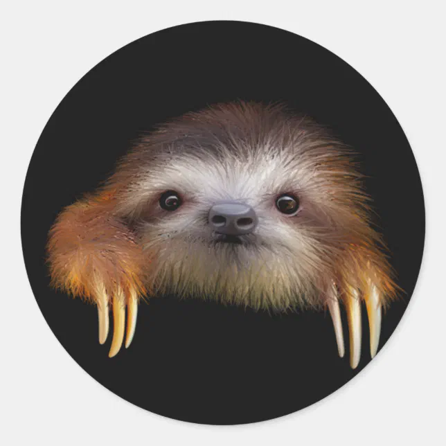 Baby Sloth Classic Round Sticker | Zazzle