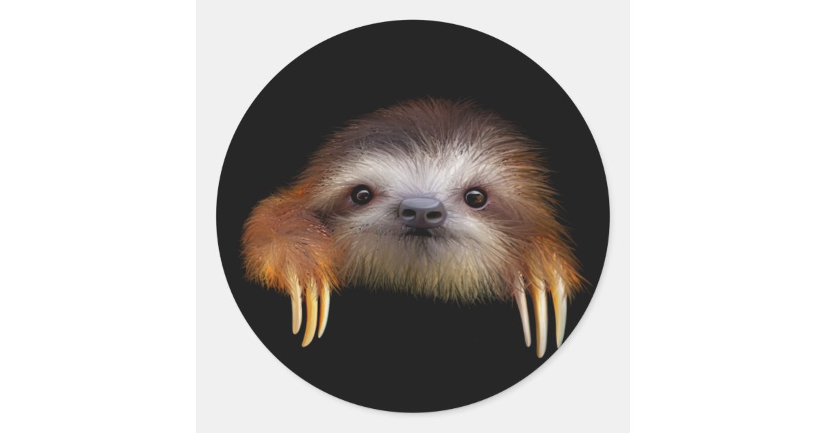 Baby Sloth Classic Round Sticker | Zazzle