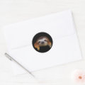 Baby Sloth Classic Round Sticker | Zazzle