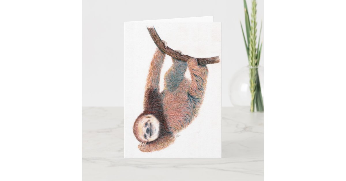 Baby sloth grooming itself card | Zazzle