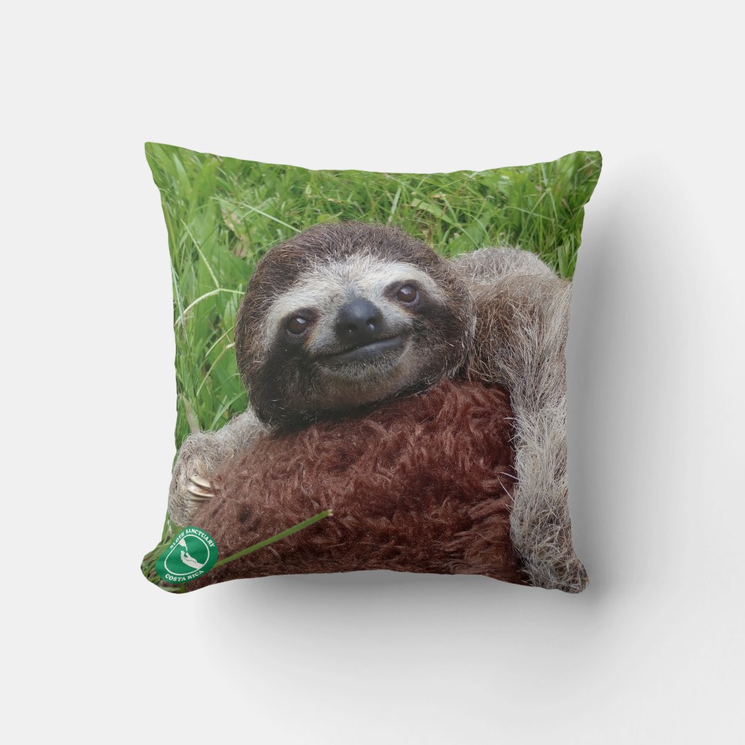 Baby Sloths Pillow for the Sloth lover | Zazzle