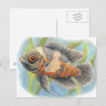 Baby Tiger Oscar Postcard | Zazzle