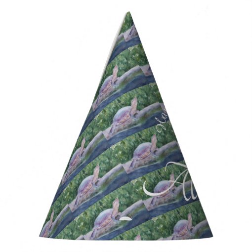Baby Turtle Happy Birthday Party Hat | Zazzle