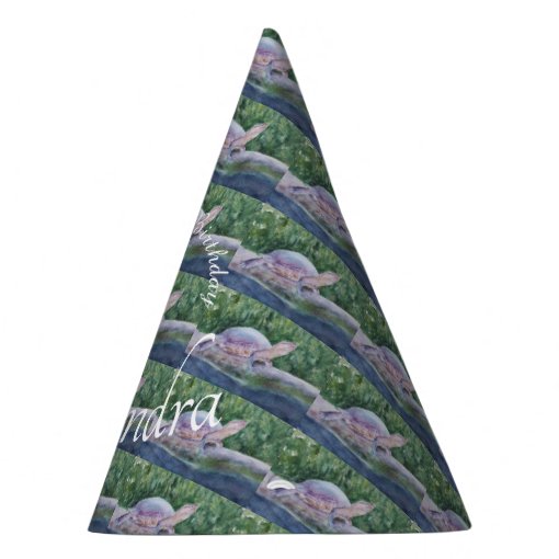 Baby Turtle Happy Birthday Party Hat | Zazzle