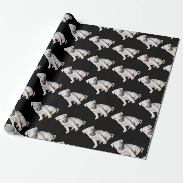 Baby White Pitbull Puppy Wrapping Paper | Zazzle
