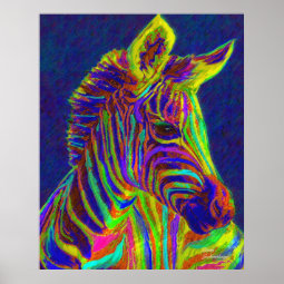baby zebra in crayon colors poster | Zazzle