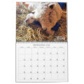 Babydoll Southdown Sheep 2020 NABSSAR Calendar | Zazzle