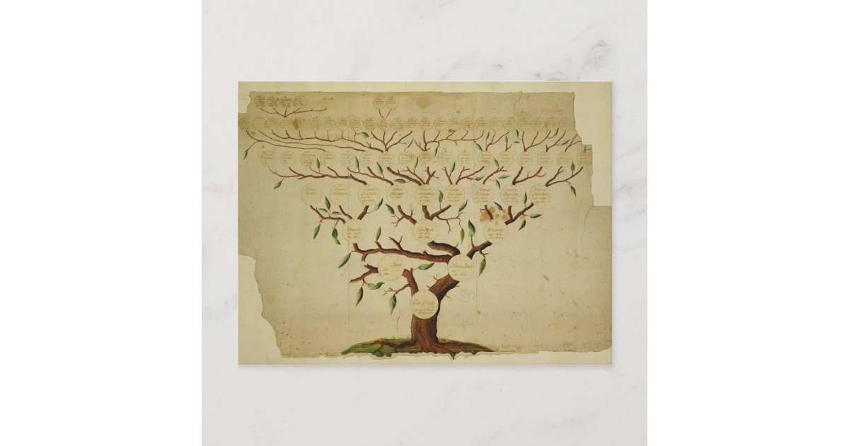 Bach Family Tree, c.1750-1770 Postcard | Zazzle
