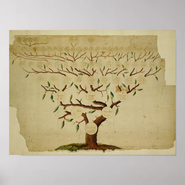 Bach Family Tree, c.1750-1770 Poster | Zazzle