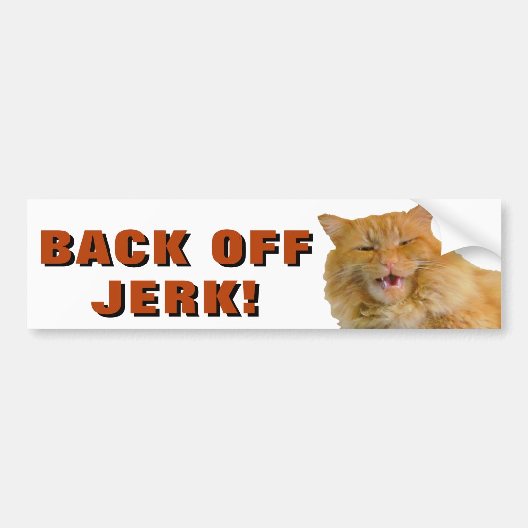 Back Off Jerk Cat Meme Bumper Sticker | Zazzle