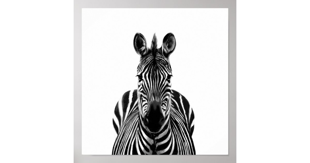 Back Up Plan III Poster | Zazzle