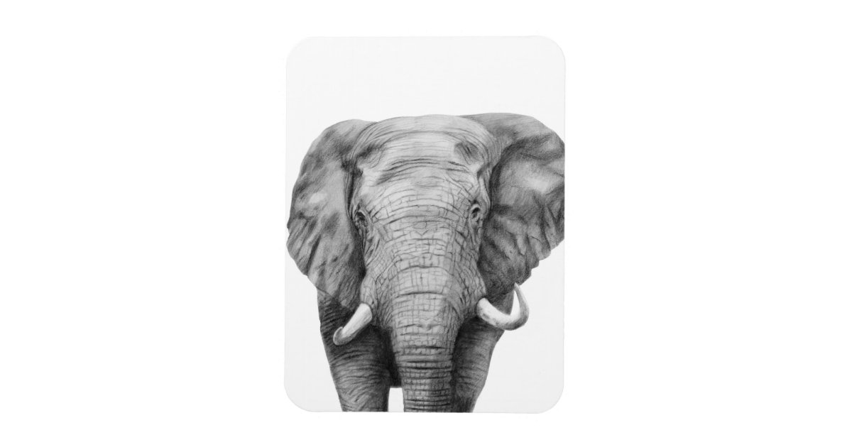 Back Up Plan IV Magnet | Zazzle