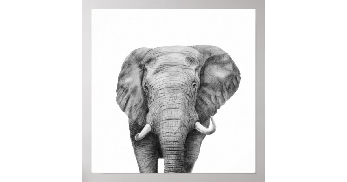 Back Up Plan IV Poster | Zazzle