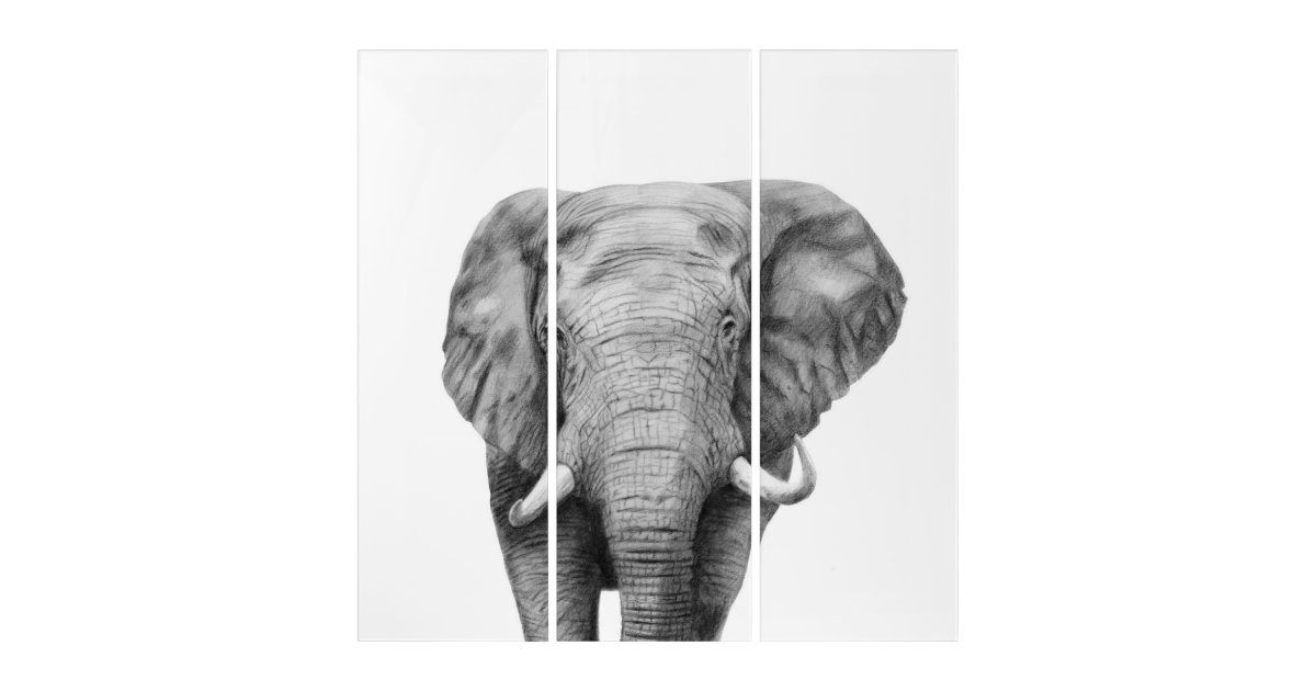 Back Up Plan IV Triptych | Zazzle
