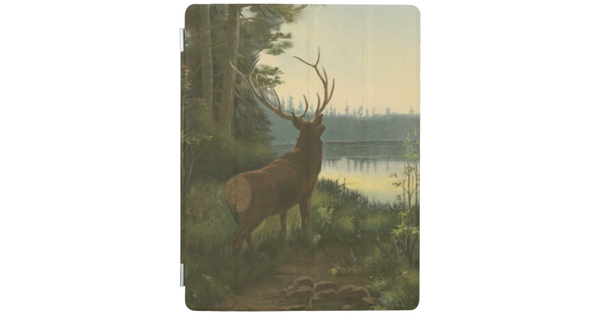 Back view of Elk Looking over a Lake iPad Smart Cover | Zazzle