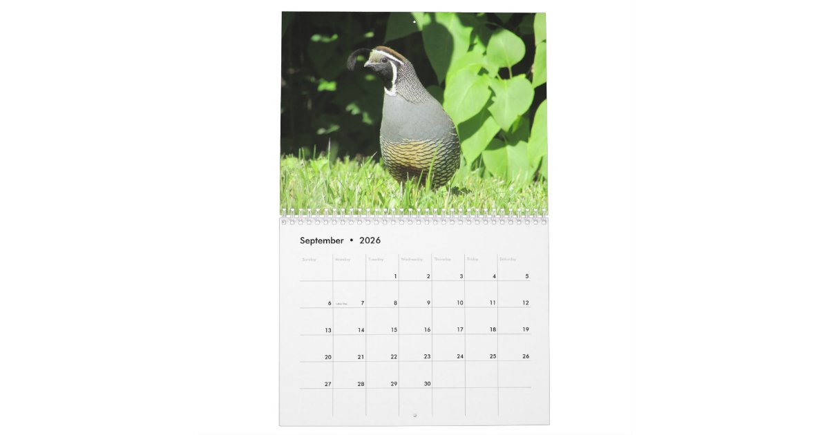 Back Yard Birds! Bird Watcher CALENDAR | Zazzle