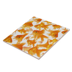 Background Showing a Large Group of Goldfish Ceramic Tile | Zazzle