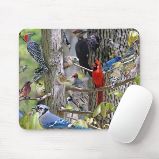 Backyard Bird Mouse Pad | Zazzle