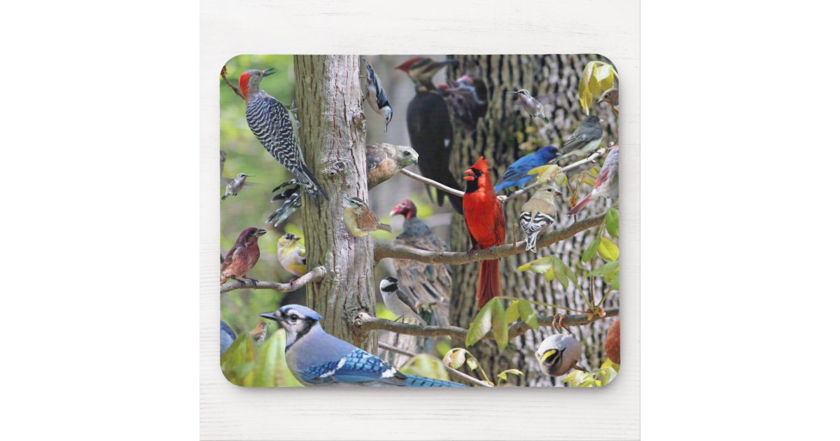 Backyard Bird Mouse Pad | Zazzle