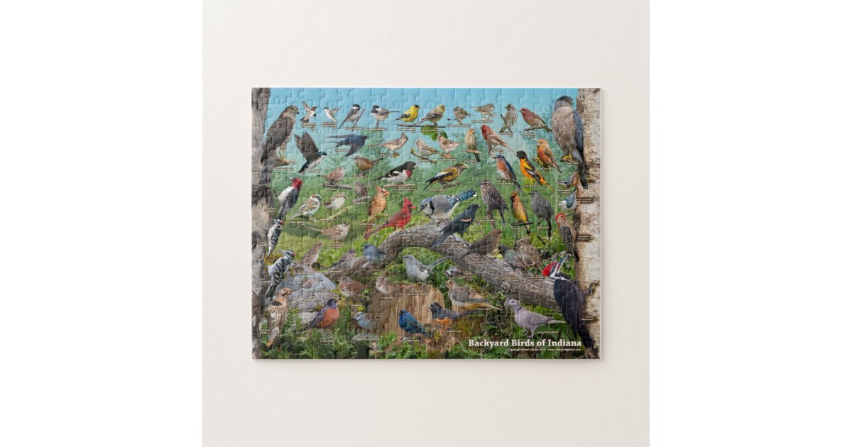 Backyard Birds of Indiana Puzzle | Zazzle