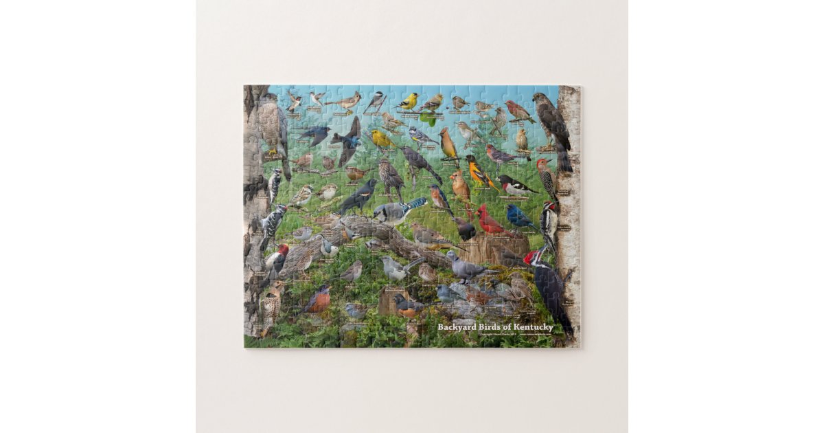 Backyard Birds of Kentucky Jigsaw Puzzle | Zazzle