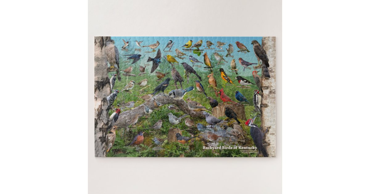 Backyard Birds of Kentucky Jigsaw Puzzle | Zazzle