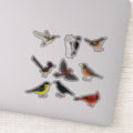 Backyard Birds Sticker Set | Zazzle