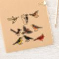 Backyard Birds Sticker Set | Zazzle