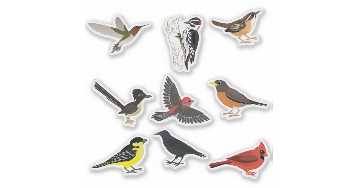 Backyard Birds Sticker Set | Zazzle