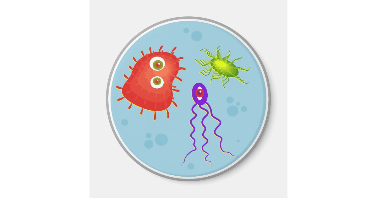 Bacteria Magnet | Zazzle