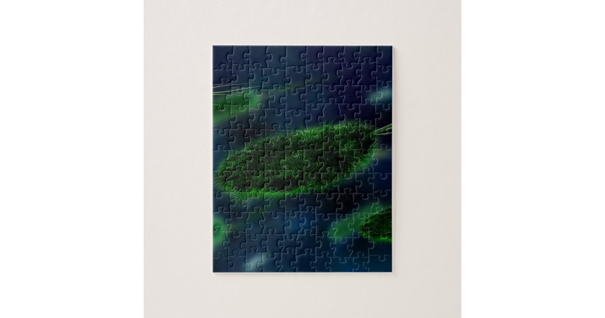 Bacteria Microbes Jigsaw Puzzle | Zazzle