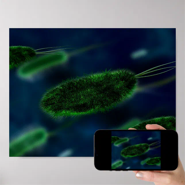 Bacteria Microbes Poster | Zazzle