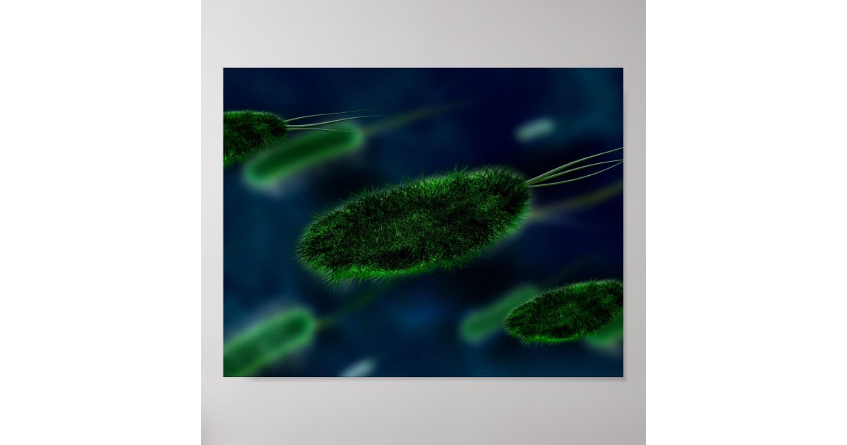 Bacteria Microbes Poster | Zazzle
