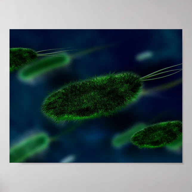 Bacteria Microbes Poster | Zazzle