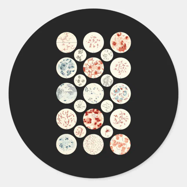 Bacteria Microbiology Bacteria Science Tiny Microb Classic Round ...