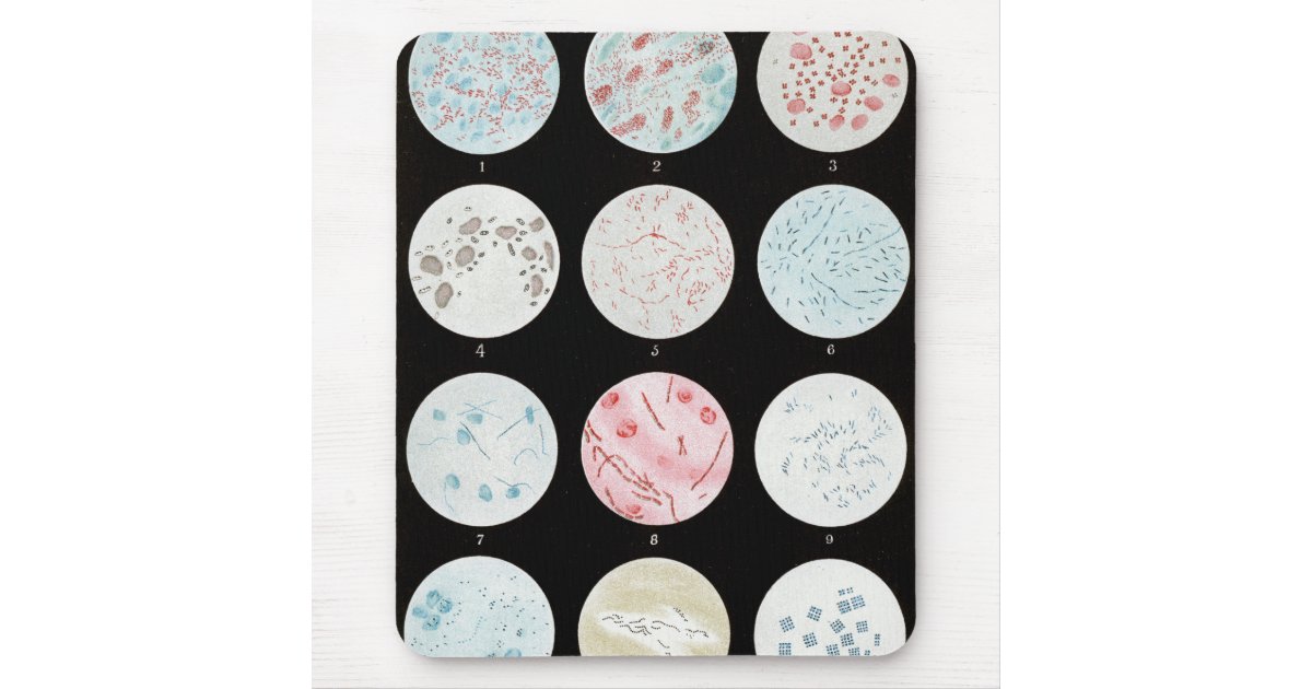 Bacteria Mouse Pad | Zazzle