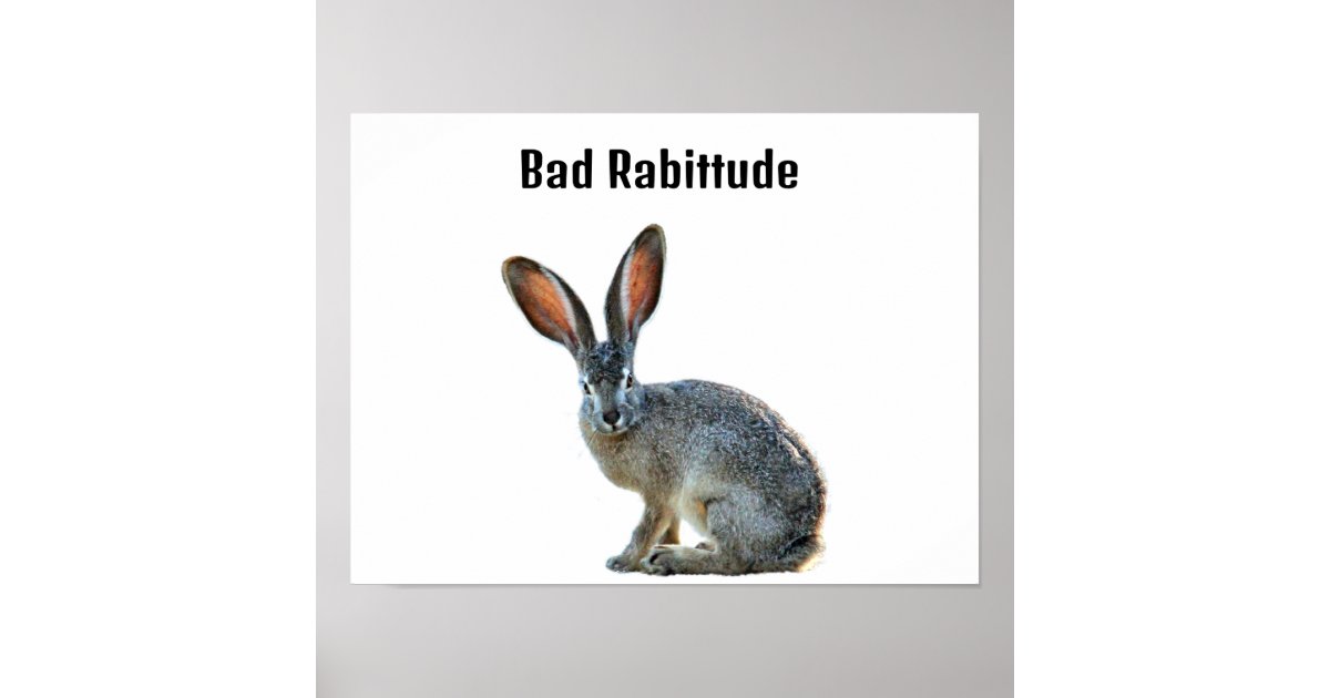 Bad Attitude Rabbit Humor Poster | Zazzle