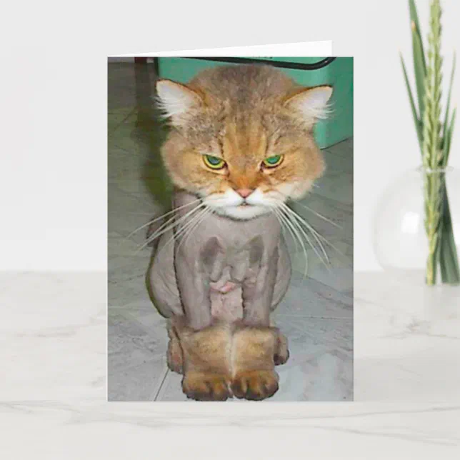 bad birthday card | Zazzle