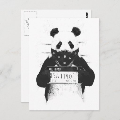Bad panda postcard | Zazzle
