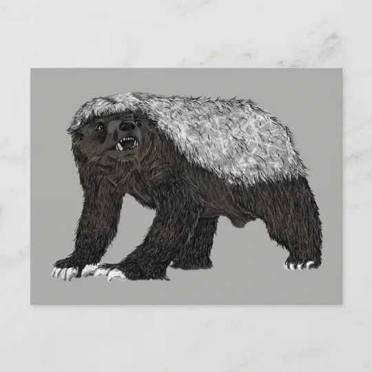 Badass Honey Badger Fearless Attitude Animal Art Postcard | Zazzle.com