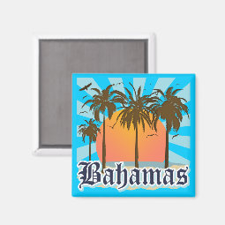 Bahamas Islands Beaches Magnet | Zazzle