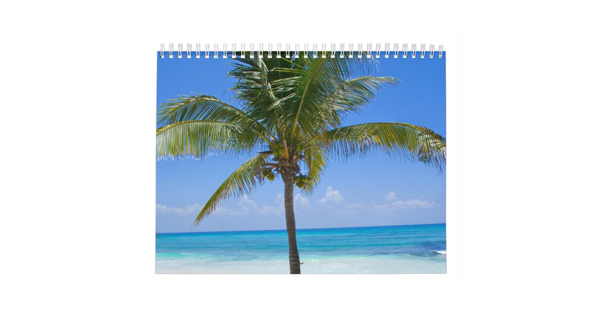 Bahamas Palm Tree Calendar | Zazzle