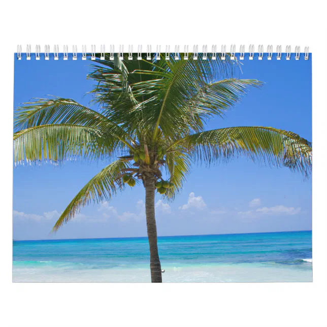 Bahamas Palm Tree Calendar | Zazzle