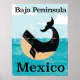 baja peninsula Mexico travel poster | Zazzle