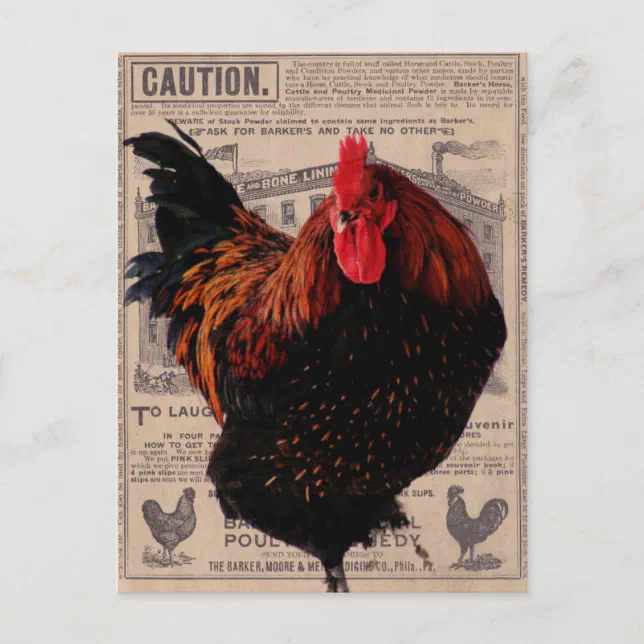 Baker's Special Poultry Postcard | Zazzle